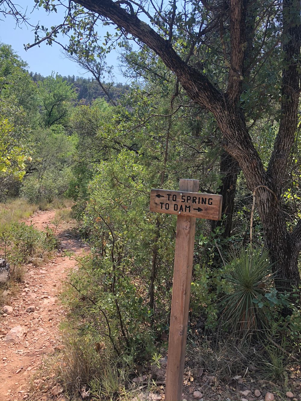 The Ultimate Guide to Arizona's Fossil Springs | WILDJOY