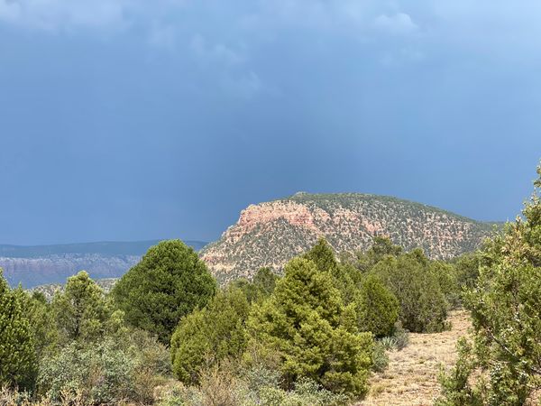 The Ultimate Guide to Arizona's Fossil Springs | WILDJOY